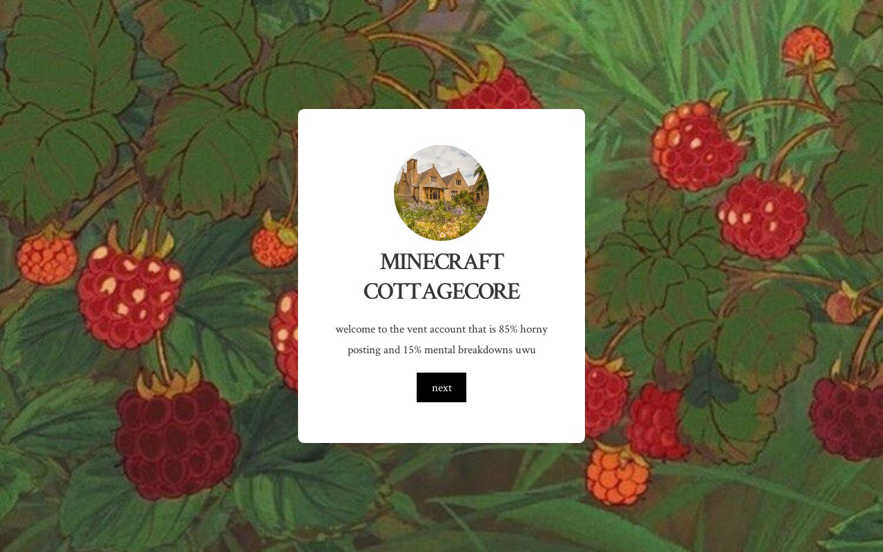 MINECRAFT COTTAGECORE